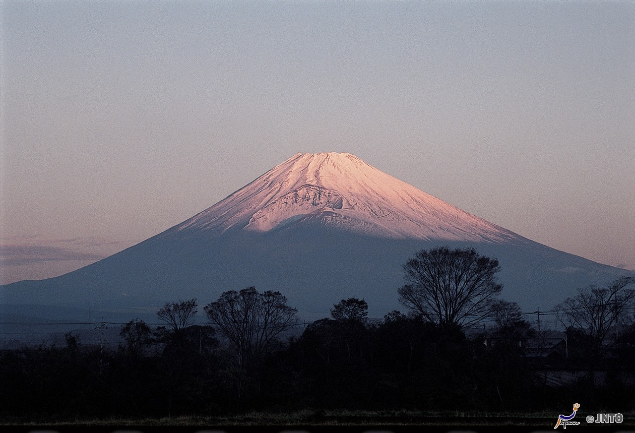 1-Day Mt. Fuji, Forest, and Cave Tour - ACT Japan Travel